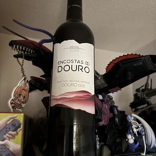 ポルトガルの赤ワイン「ENCOSTAS DO DOURO TINTO（エンコスタス ドゥ ドウロ ティント）2019」 - YUU MEDIA TOWN@blog